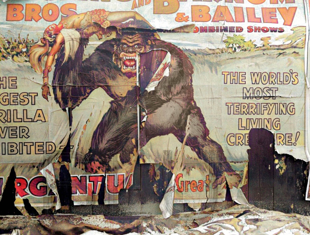 1938 Circus Poster, Omaha, Nebraska 11 X 14 Photo Print - Etsy