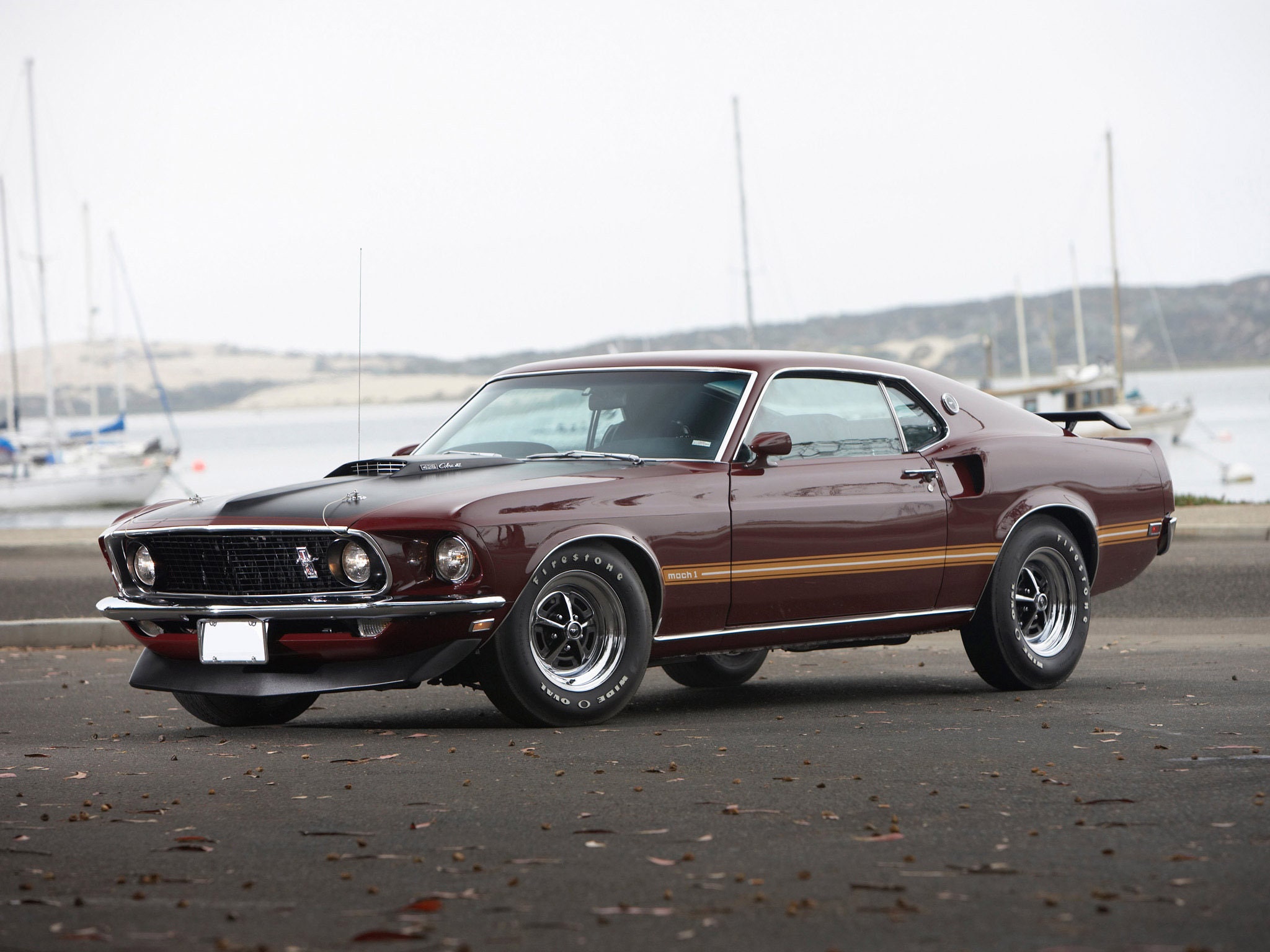 1969 Ford Mustang Mach 1 11 X 14 Photo Print Etsy 1969 Ford Mustang Mach 1 11 X 14 Photo Print Etsy