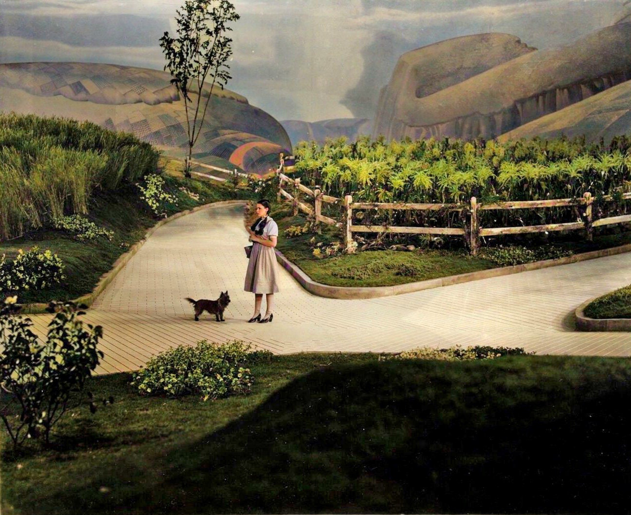 Yellow Brick Road Dorothy