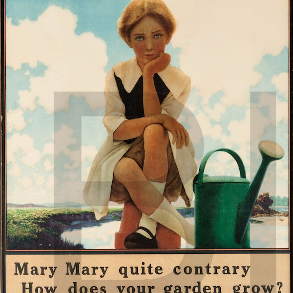 Mary Quite Contrary - Etsy
