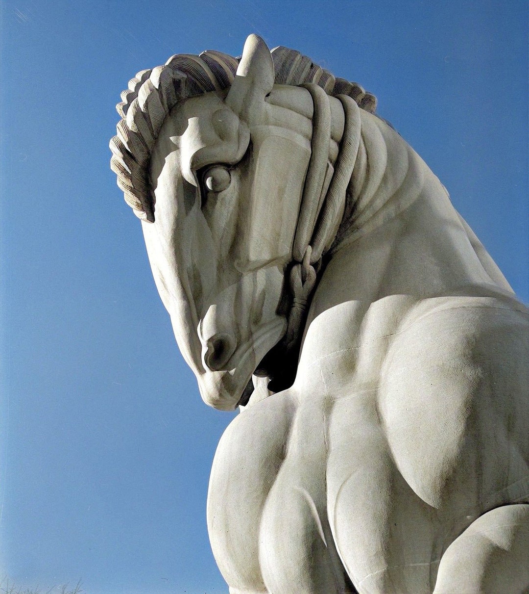 1943 Man Controlling Trade 11 X 14 Photo Print - Etsy