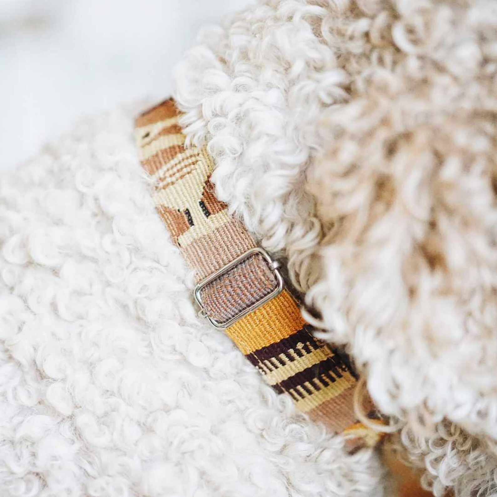 Handwoven Boho Dog Collar | Adjustable Guatemalan Textile - Etsy