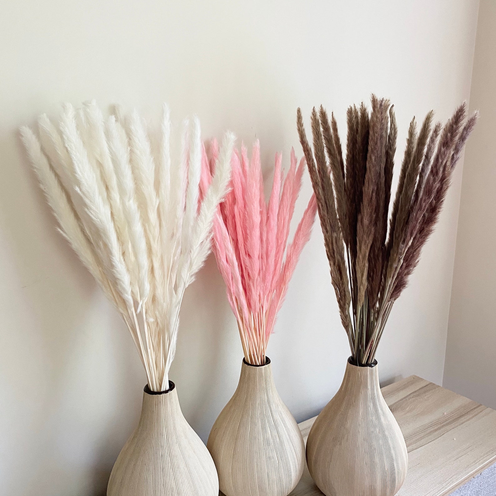 Short Small Natural Pampas Grass 18-24 Inches Tall - Etsy