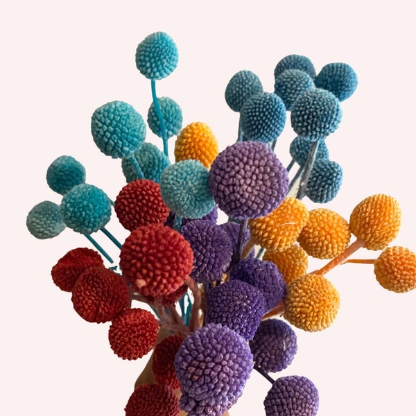 Billy Balls - Etsy