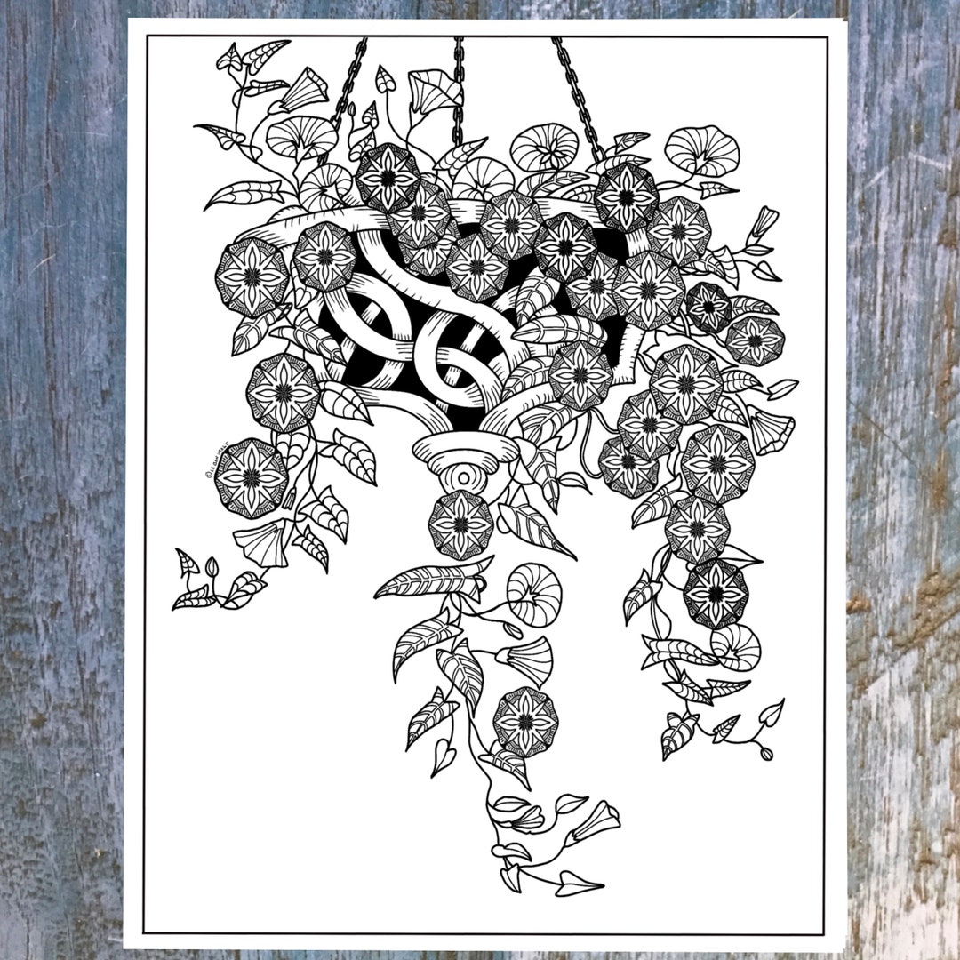 Hanging Basket Flowers Printable Coloring Page Hand Drawn - Etsy