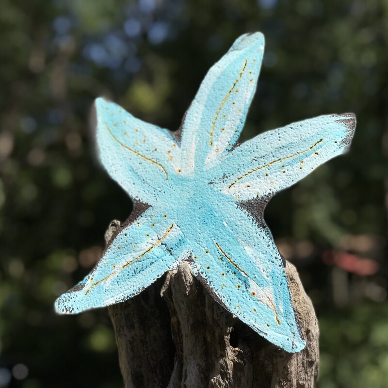 Painted Starfish - Etsy