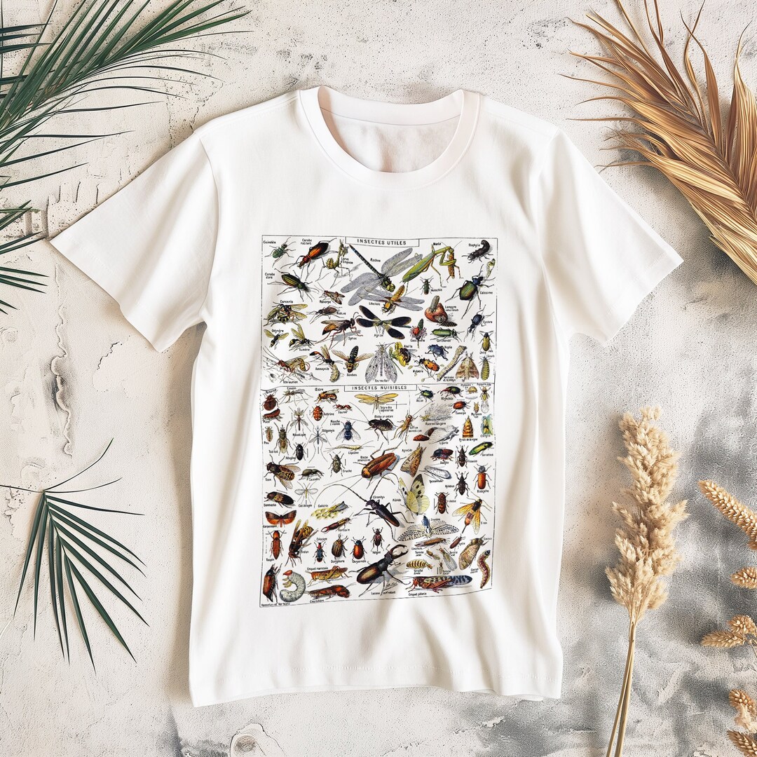 Insects T-shirt, Adult Unisex Organic Cotton Tee, Vintage Zoology Art ...