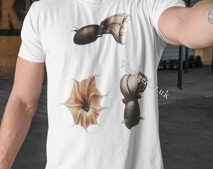 Vampire Squid vampyroteuthis Infernalis OC-17 Fine Art Print of a ...