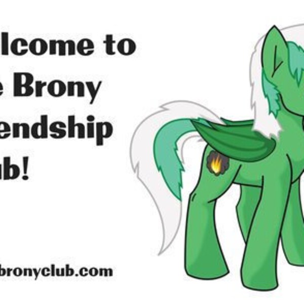 Brony - Etsy