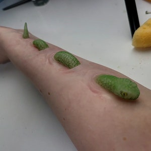 Snake Silicone Prosthetic | Subdermal | Parasite | Sfx | LARP | Latex ...