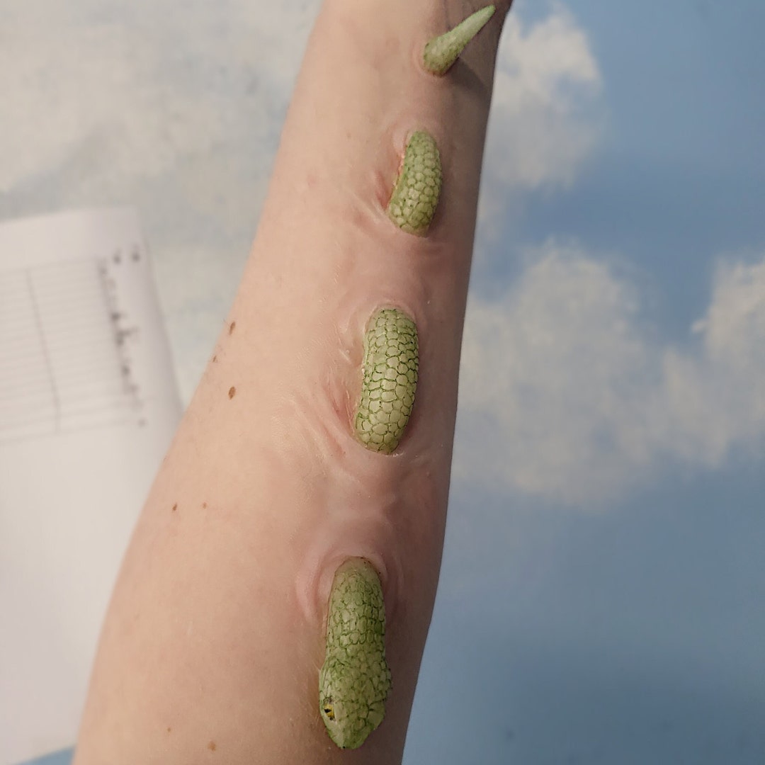 Snake Silicone Prosthetic | Subdermal | Parasite | Sfx | LARP | Latex ...