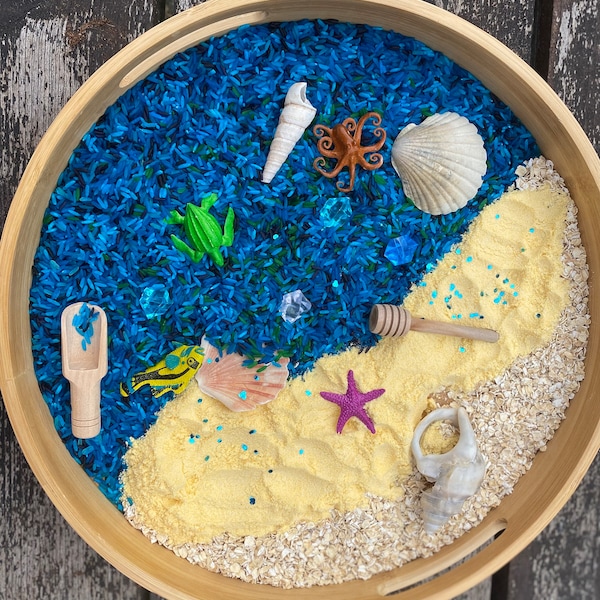 Play Sensory Tray - Etsy
