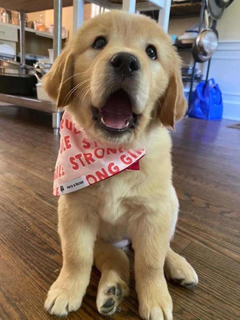 Strong Girls Rule Dog Bandana Rosie The Riveter Dog Bandana | Etsy