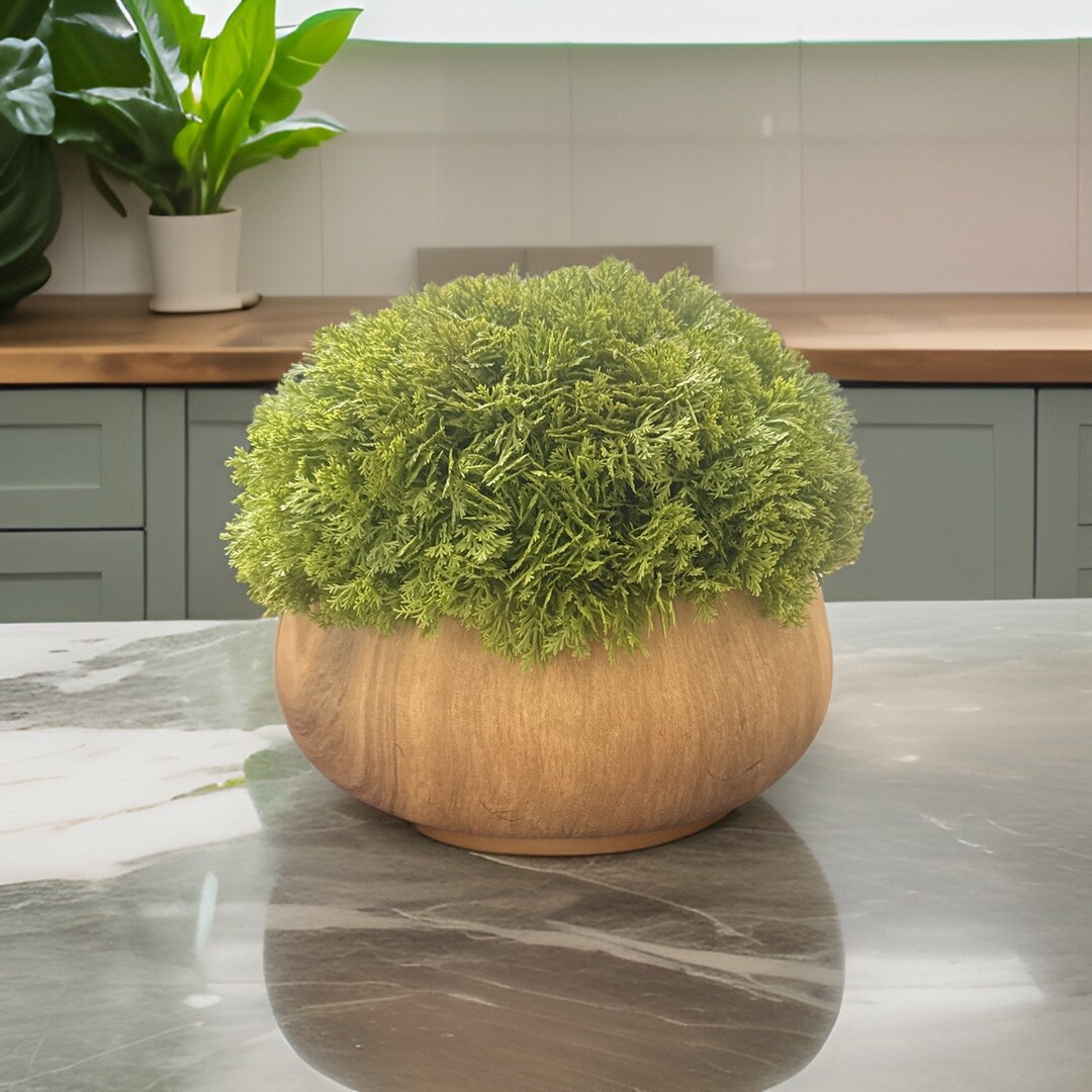 7 Real Touch Moss With Ceramic Pot Wooden Planter Box Look Faux Moss ...