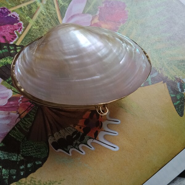 Clam Shell Hinges - Etsy