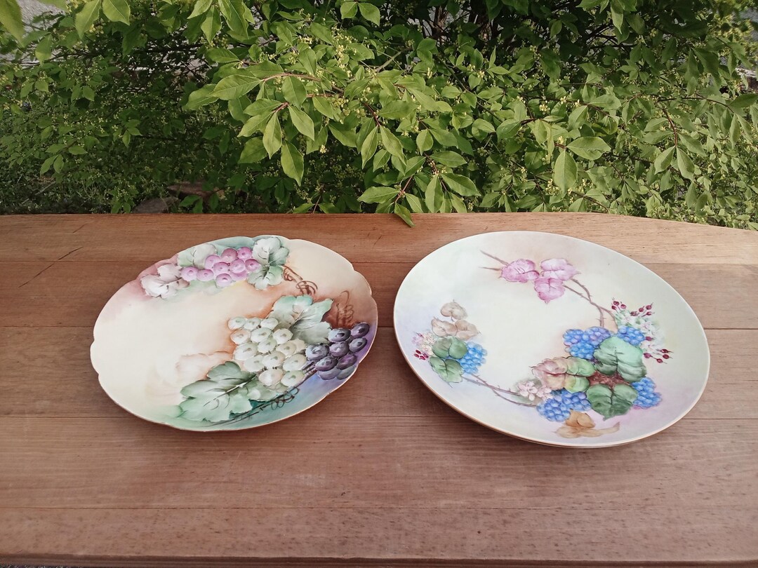 Antique Hand-painted Porcelain Plates, Haviland France, Berry & Grape ...
