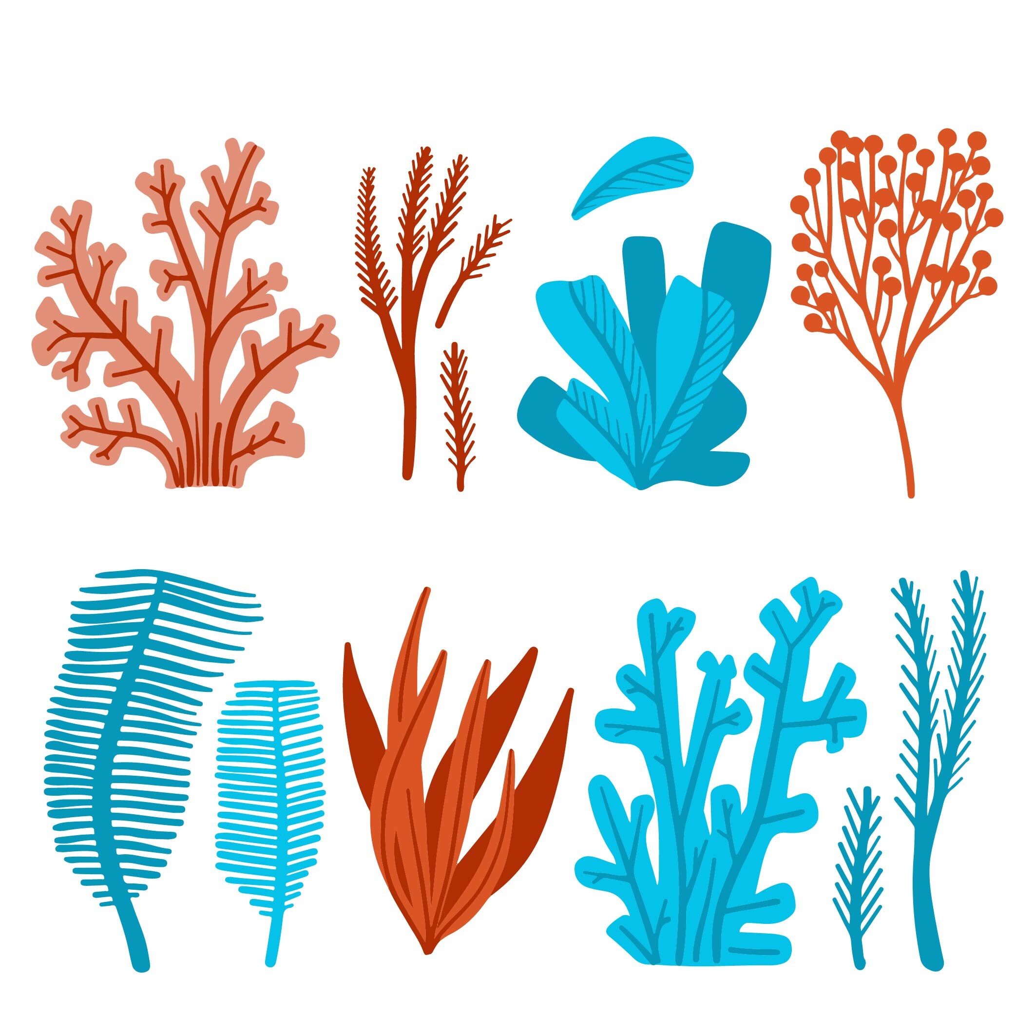 Underwater Plants SVG - Sea Animals Clip Art - SVG - Cut Files - PNG ...