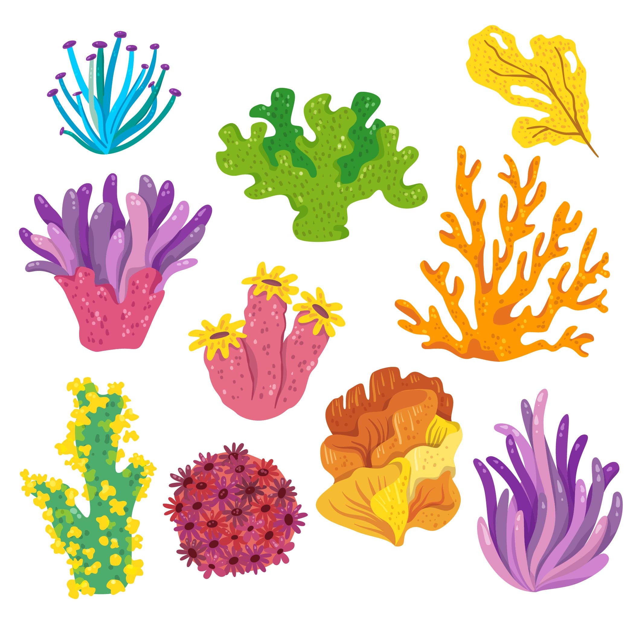 Underwater Plants SVG - Sea Animals Clip Art - SVG - Cut Files - PNG ...