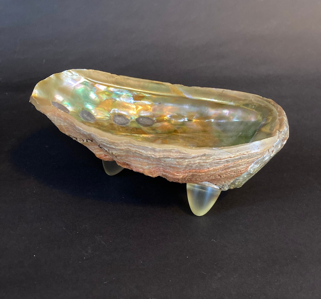 Extremely Rare Mid-century Pacific Ocean Park Souvenir Abalone Ashtray ...