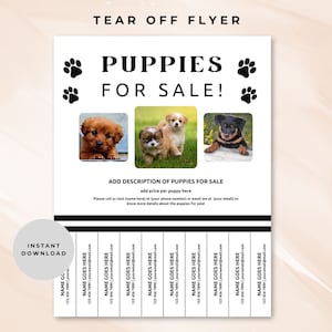 Puppies for Sale Flyer, Pet Tear off Flyer, Canva Template, Dog ...