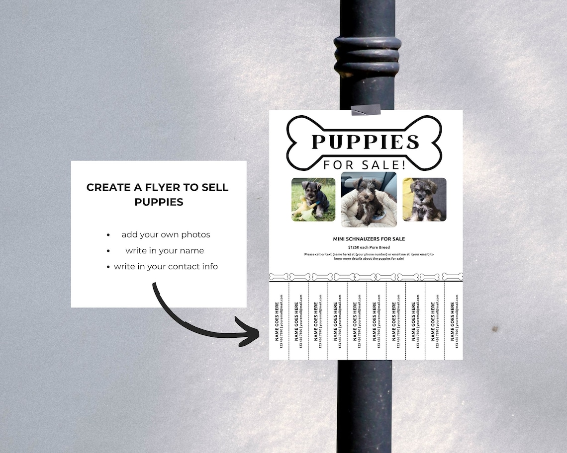 Puppies for Sale Flyer Template, Pet Tear off Flyer (digital Download ...