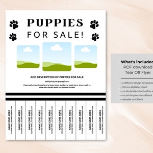 Puppies for Sale Flyer, Pet Tear off Flyer, Canva Template, Dog ...