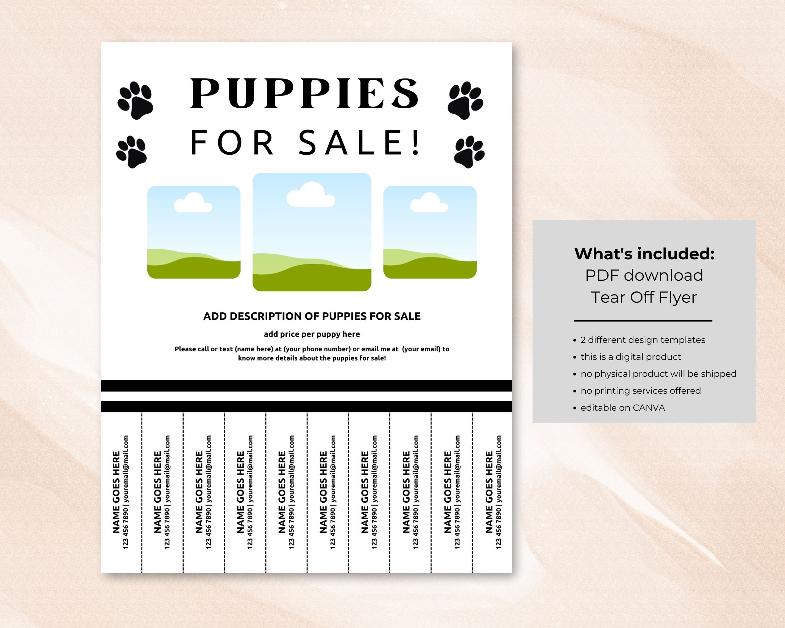 Puppies for Sale Flyer, Pet Tear off Flyer, Canva Template, Dog ...