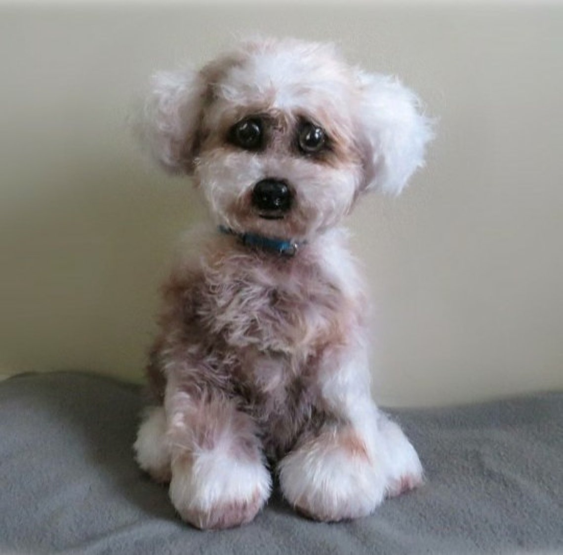 Toy Poodle Crochet Pattern Realistic Crochet Dog Pattern. With - Etsy ...