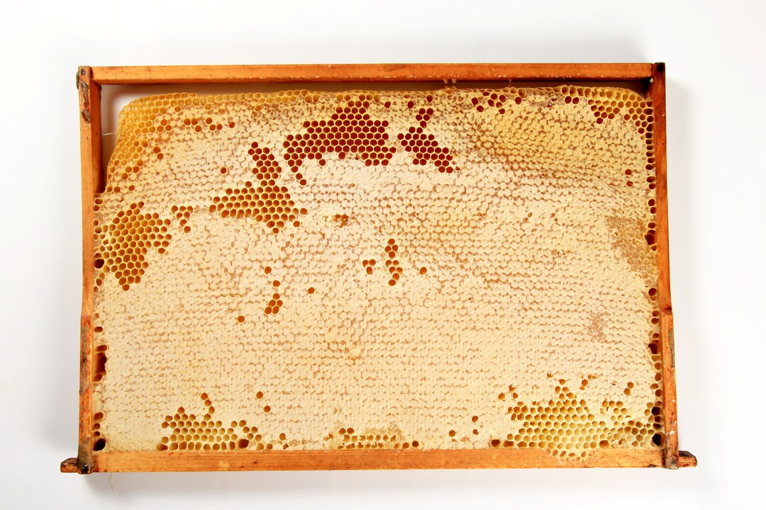 Honeycomb, Natural Pure Honeycomb, Raw Honey Comb, Honeycomb of Wild ...