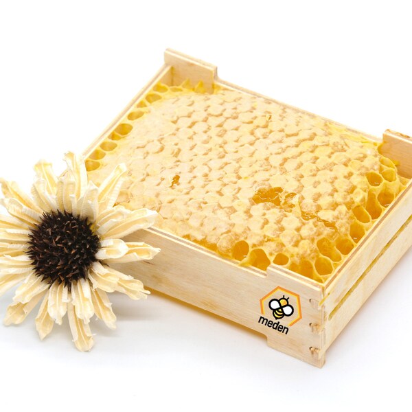 Honey Comb Candy - Etsy