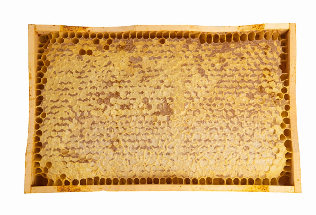 Wooden Frame Honeycomb of Wildflowers - Directly From Hives Pure Raw ...