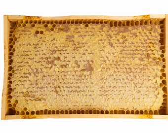 Pure Southern Honey Whole Wooden Honeycomb Frame - Etsy