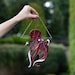 Red Octopus Stained Glass Halloween Suncatcher. Window Wall Hangings ...