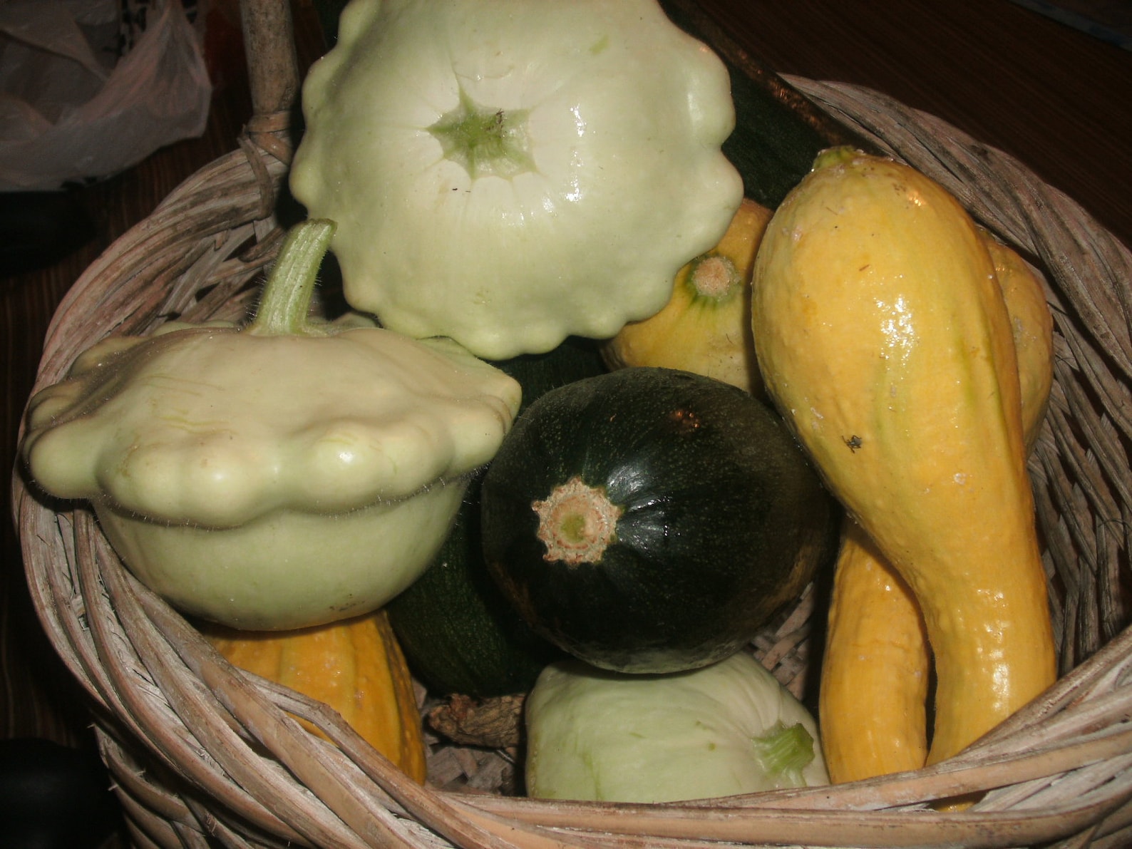 Squash Summer Peter Pan Scallop Seeds 節瓜 - 20 Seeds - Etsy