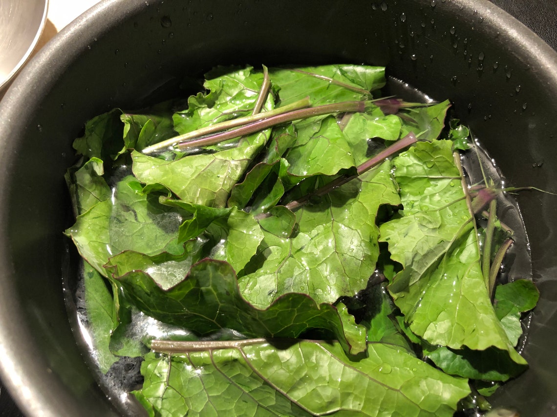 Purple Tree Collard Seeds 50 Seeds - Etsy