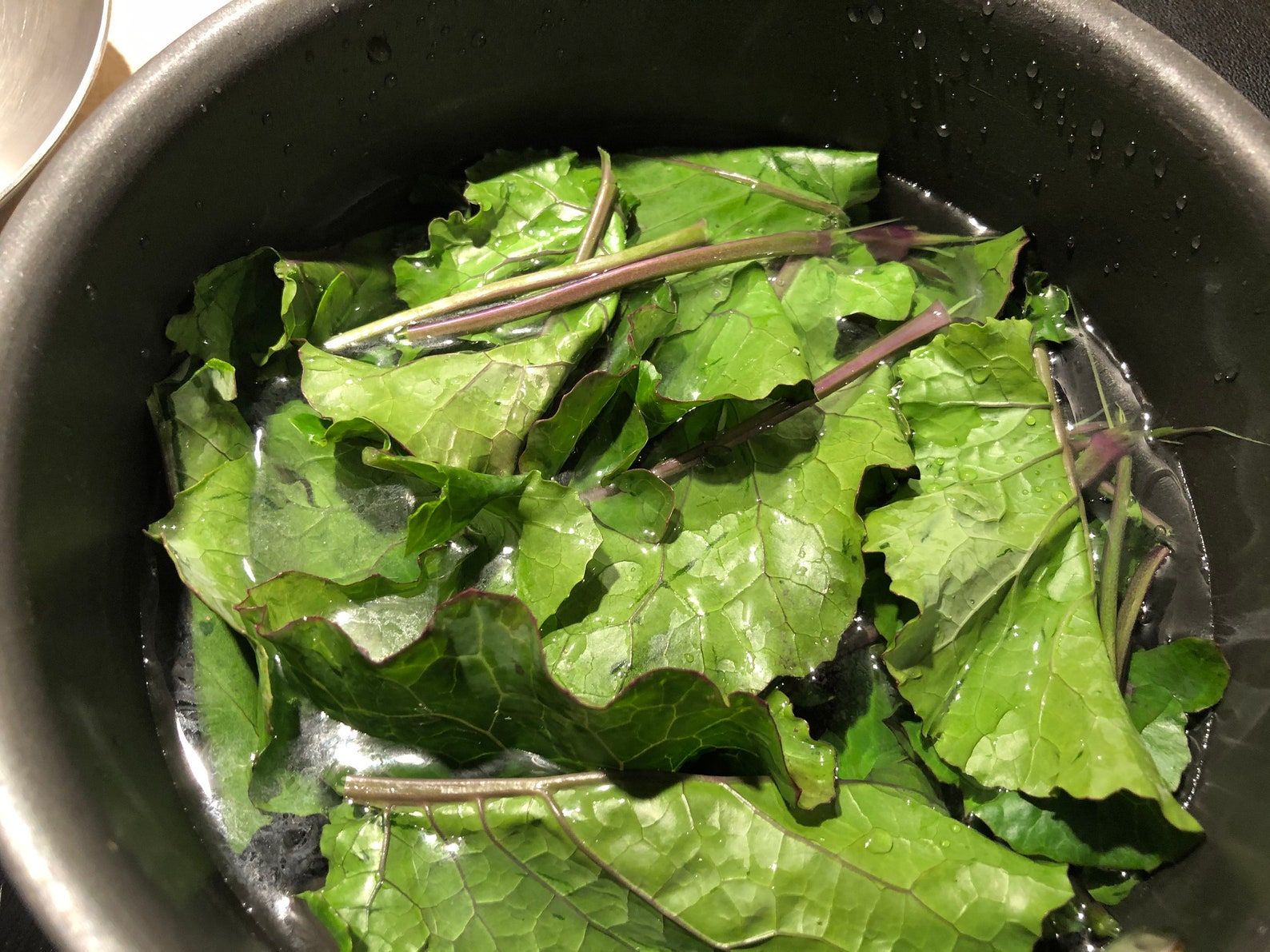 Purple Tree Collard Seeds 50 Seeds - Etsy