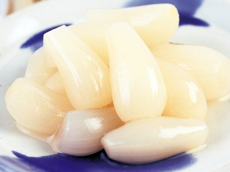 Qty 10 Rakkyo Onion - Etsy