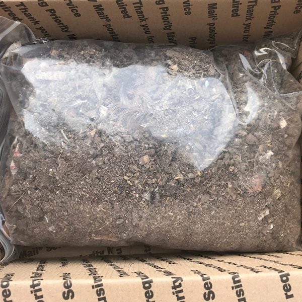 Chicken Manure - Etsy
