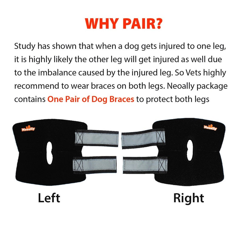 Dog Leg Brace Canine Rear Leg Hock Support With Safety Reflective ...