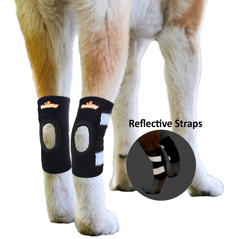 Dog Leg Brace Canine Rear Leg Hock Support With Safety Reflective ...