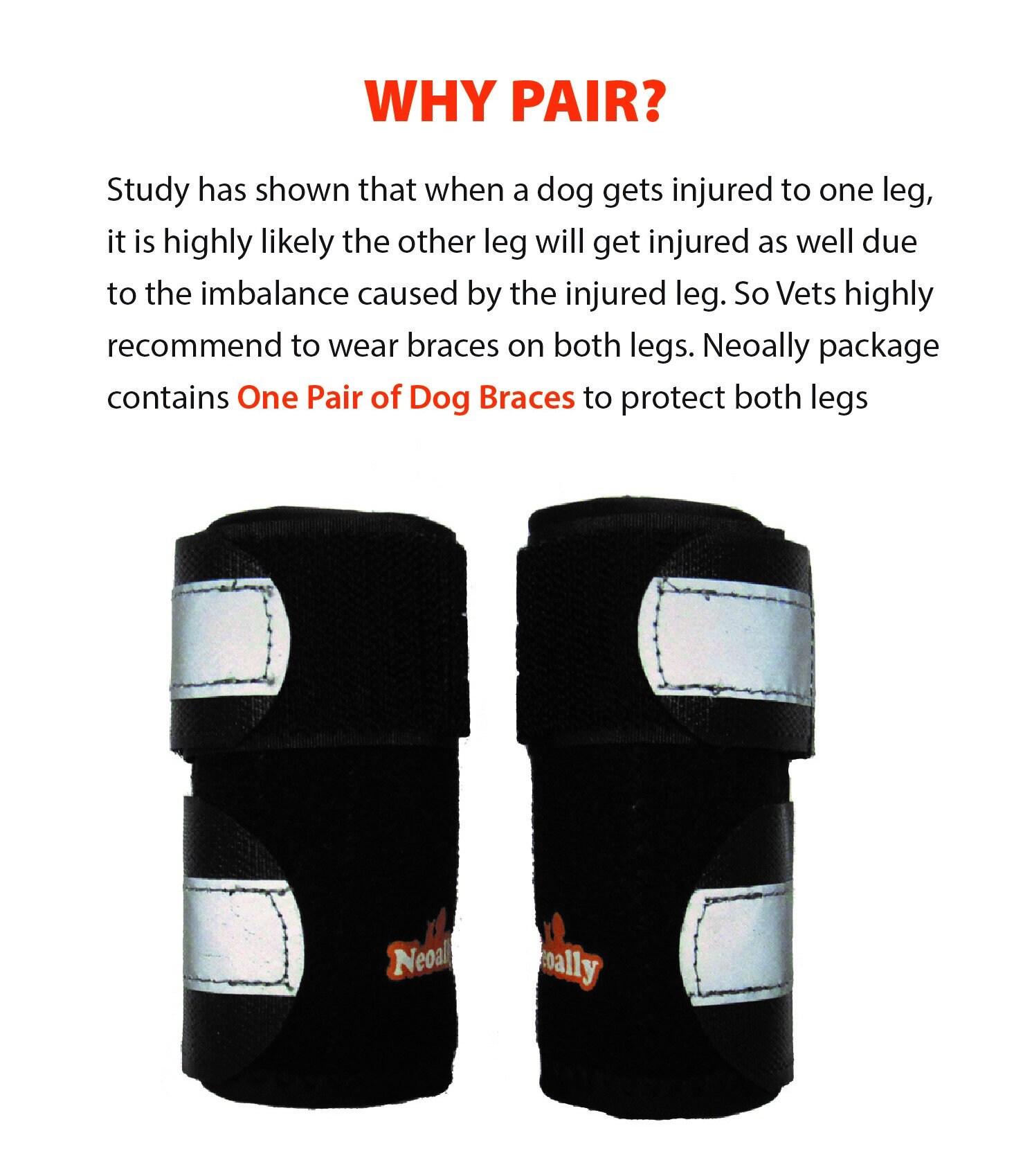 Neoally Pair of Dog Canine Front Leg Compression Brace With Metal ...