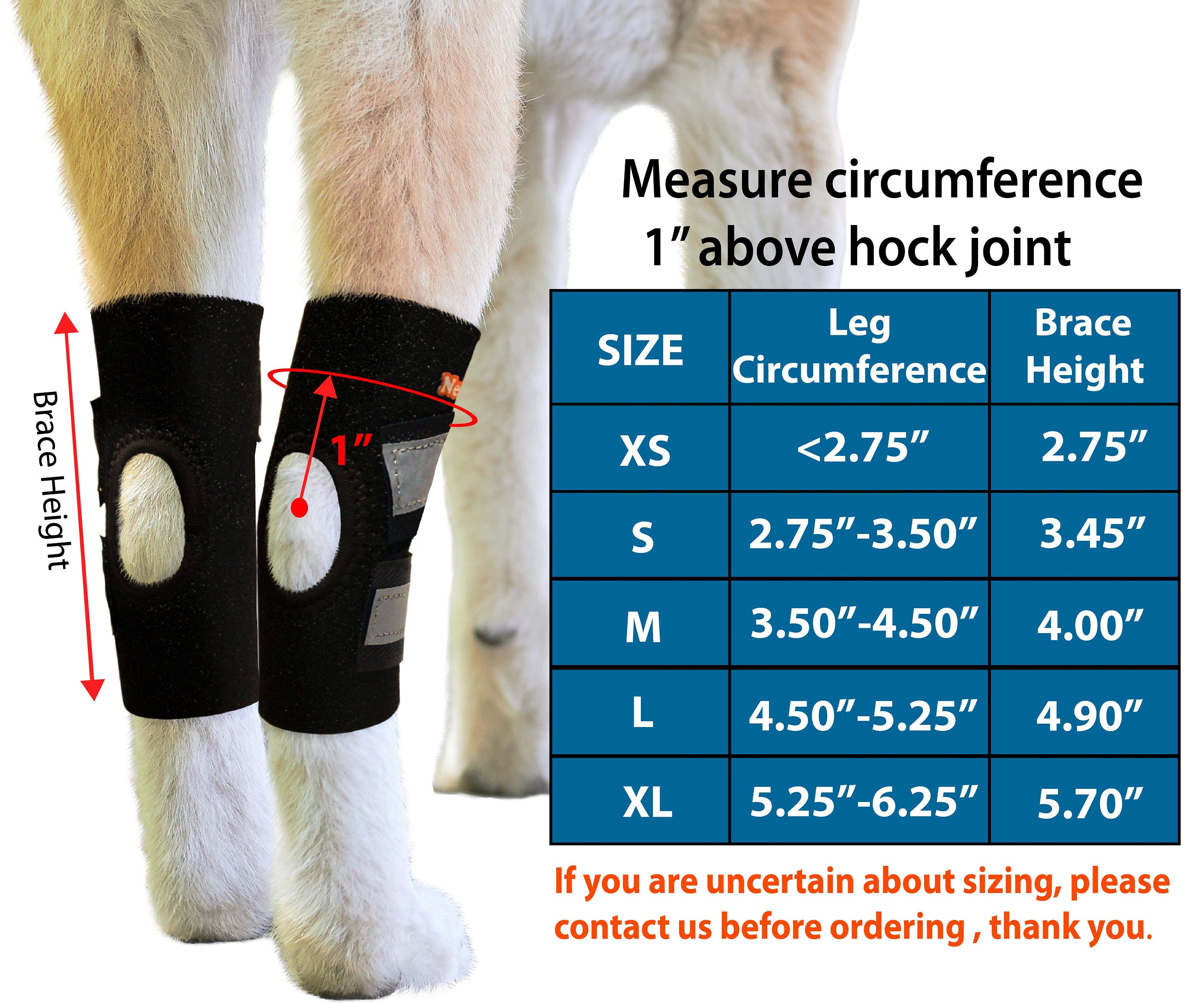 Dog Leg Brace Canine Rear Leg Hock Support With Safety Reflective ...