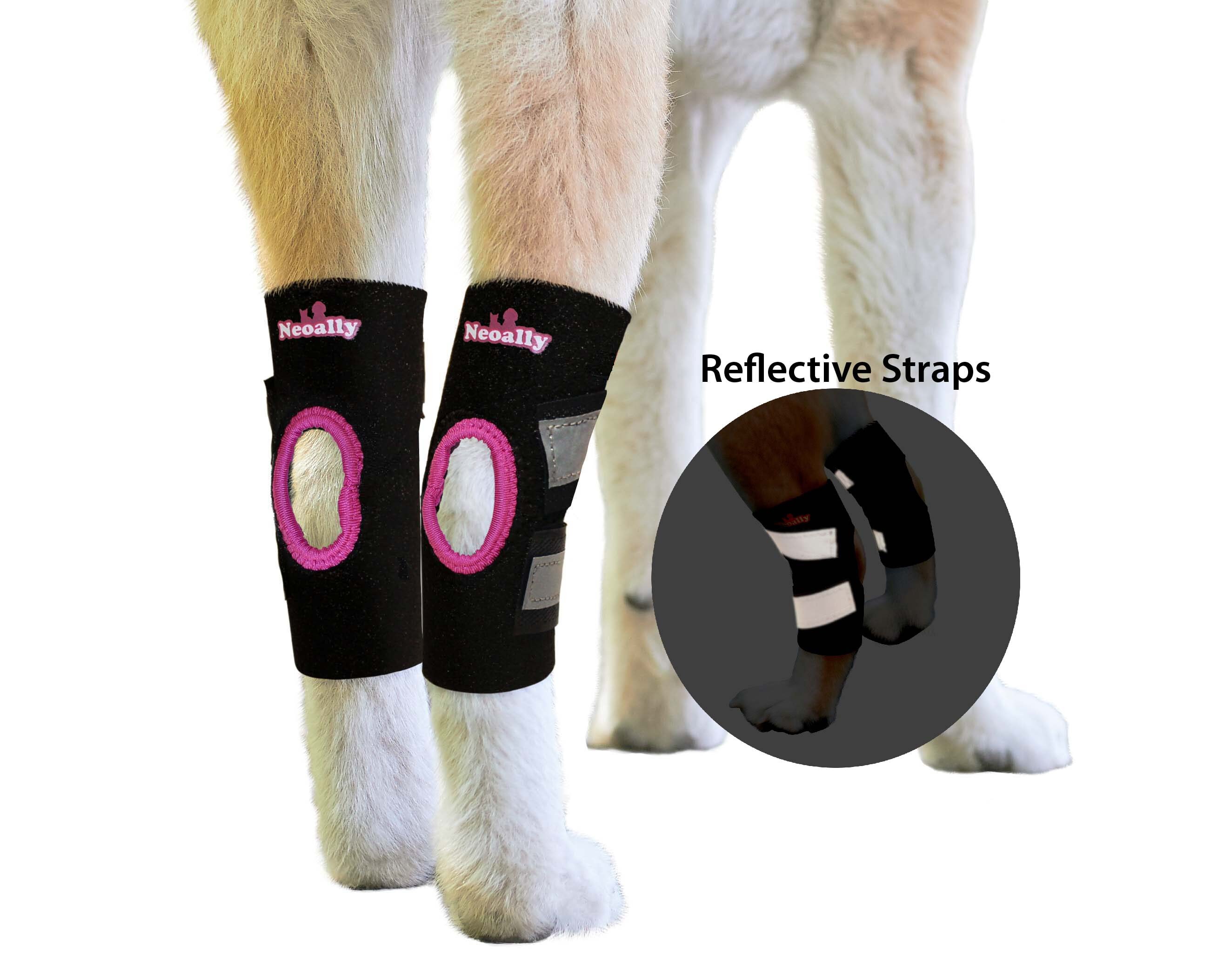 Dog Leg Brace Canine Rear Leg Hock Support With Safety Reflective ...