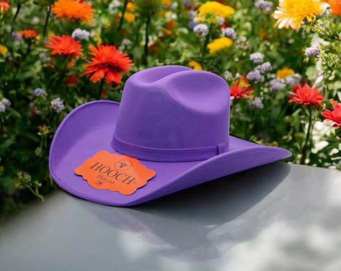 Women's Fall Black Baby Blue Floral Embellished Burned Cowboy Fedora ...