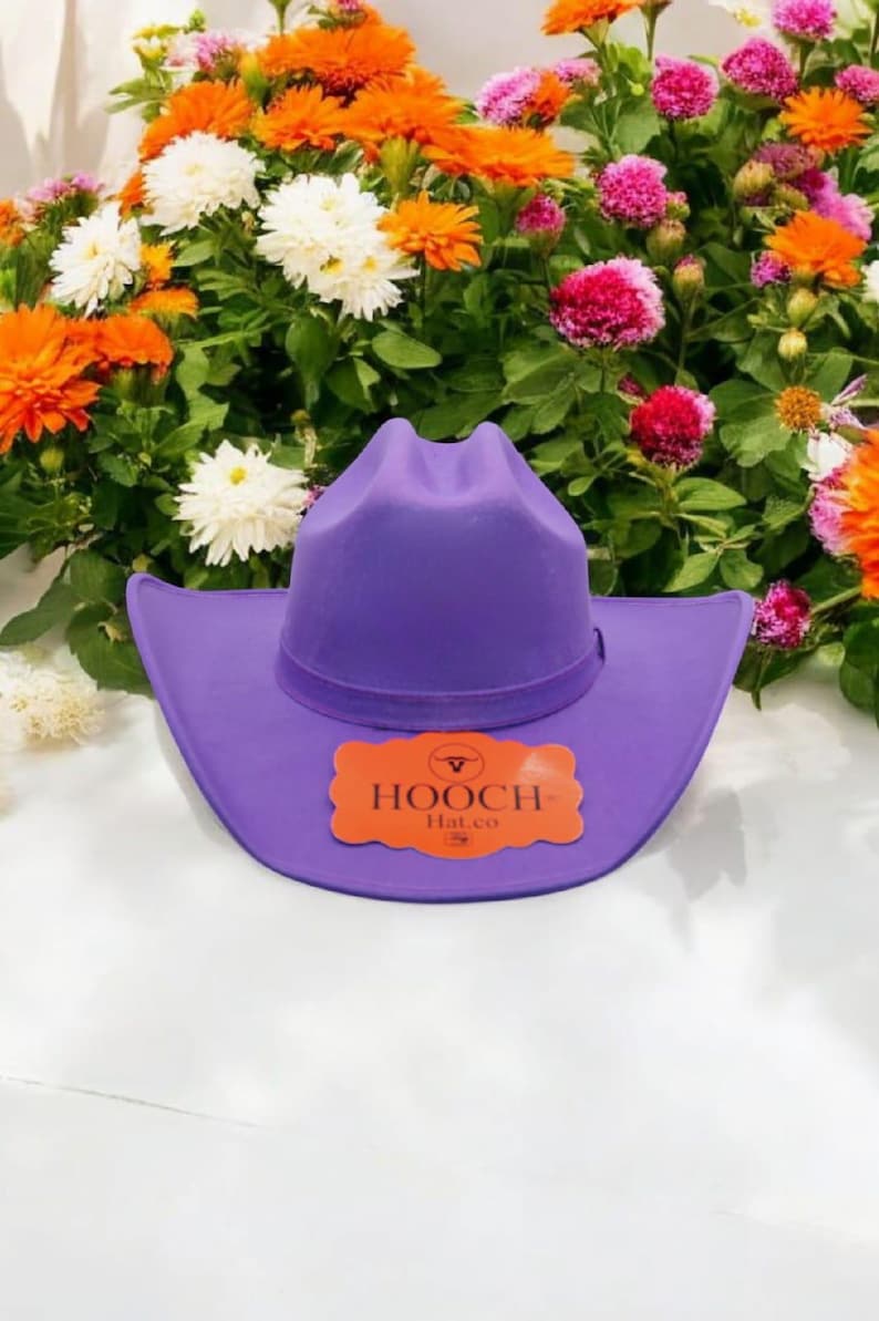 Women's Faux Felt Cowgirl Hat | Vegan Suede Western Hat | Multiple ...