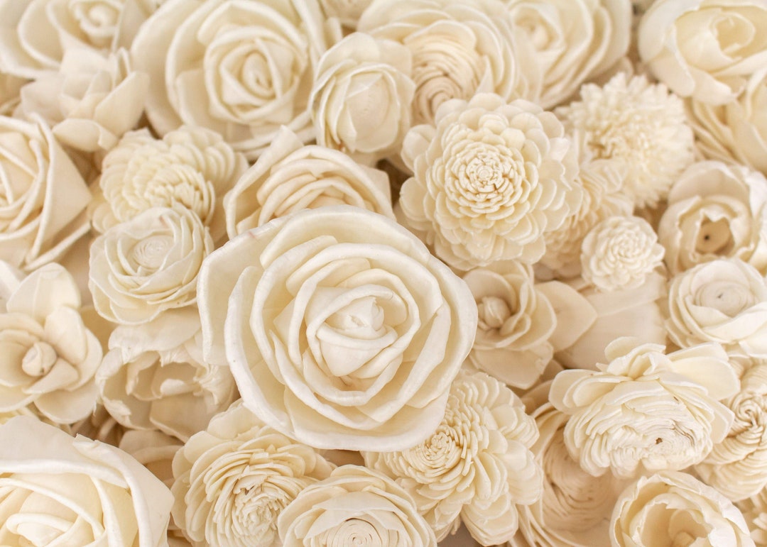 1000 Flower Random Assortment no Skin - Etsy
