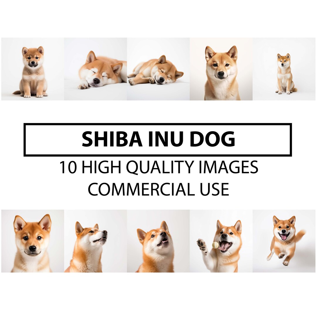 Shiba Inu Dog Clipart Bundle 10 JPG Images Ideal for - Etsy