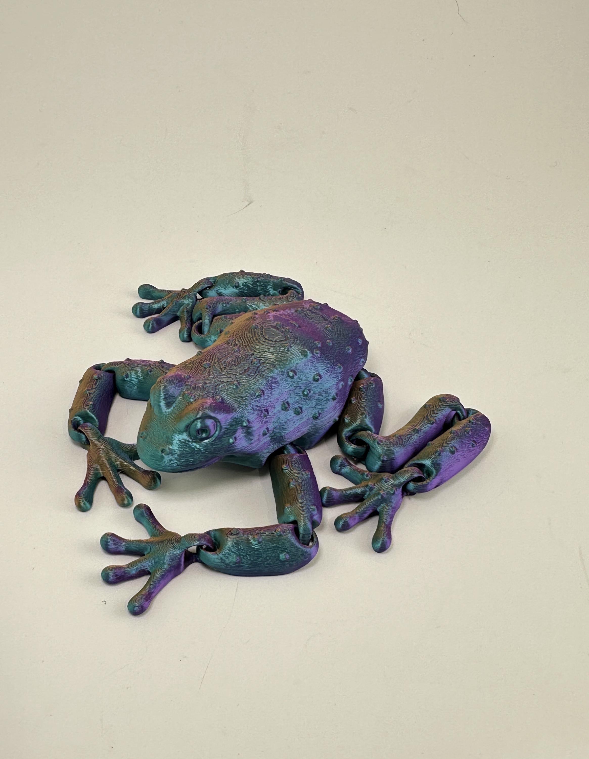 3D Printed Articulated Frog Poseable Frog Figurine Flexible Joints Fun ...