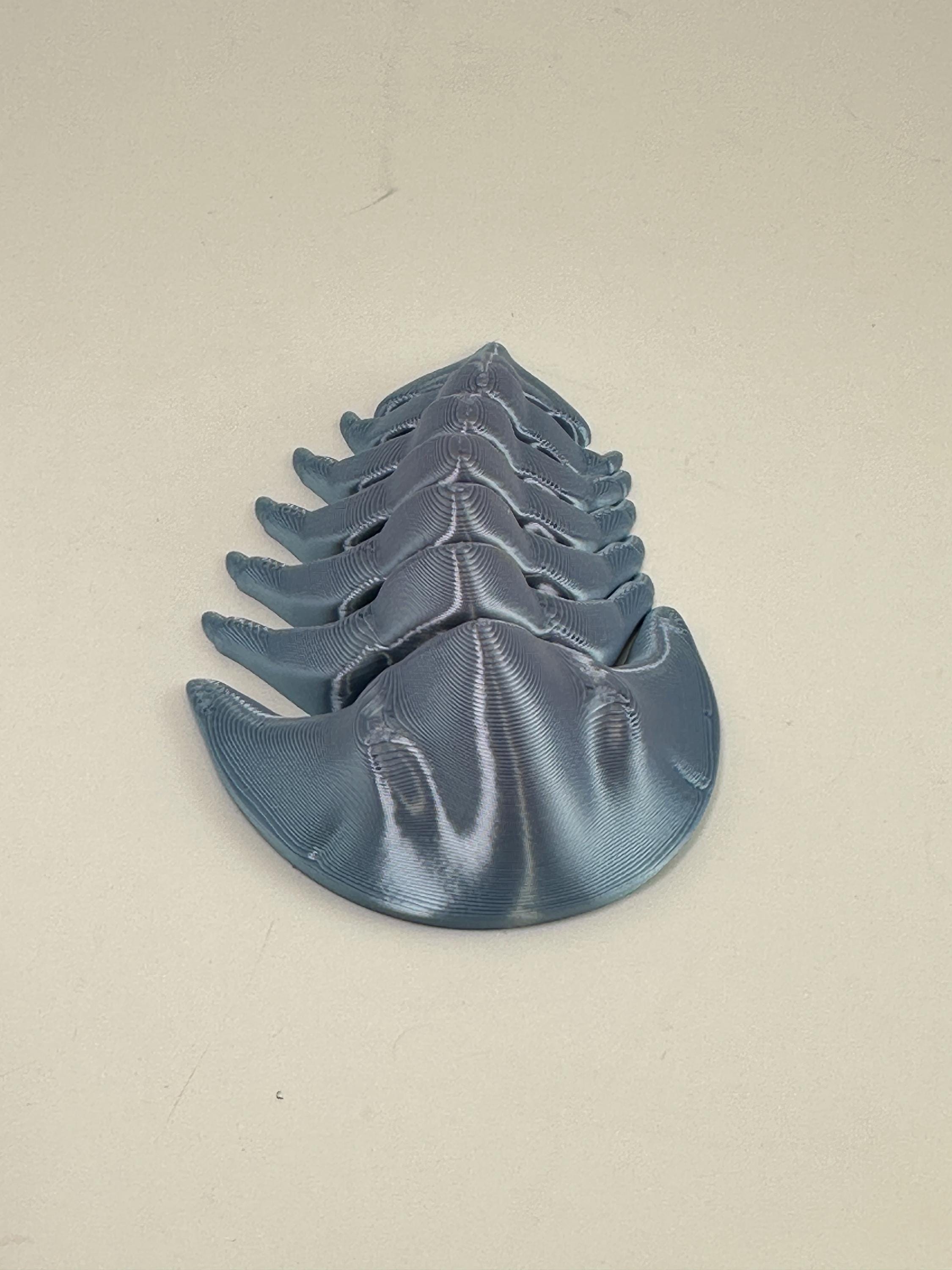 3D Printed Articulated Trilobite | Poseable Fossil Figurine | Realistic ...