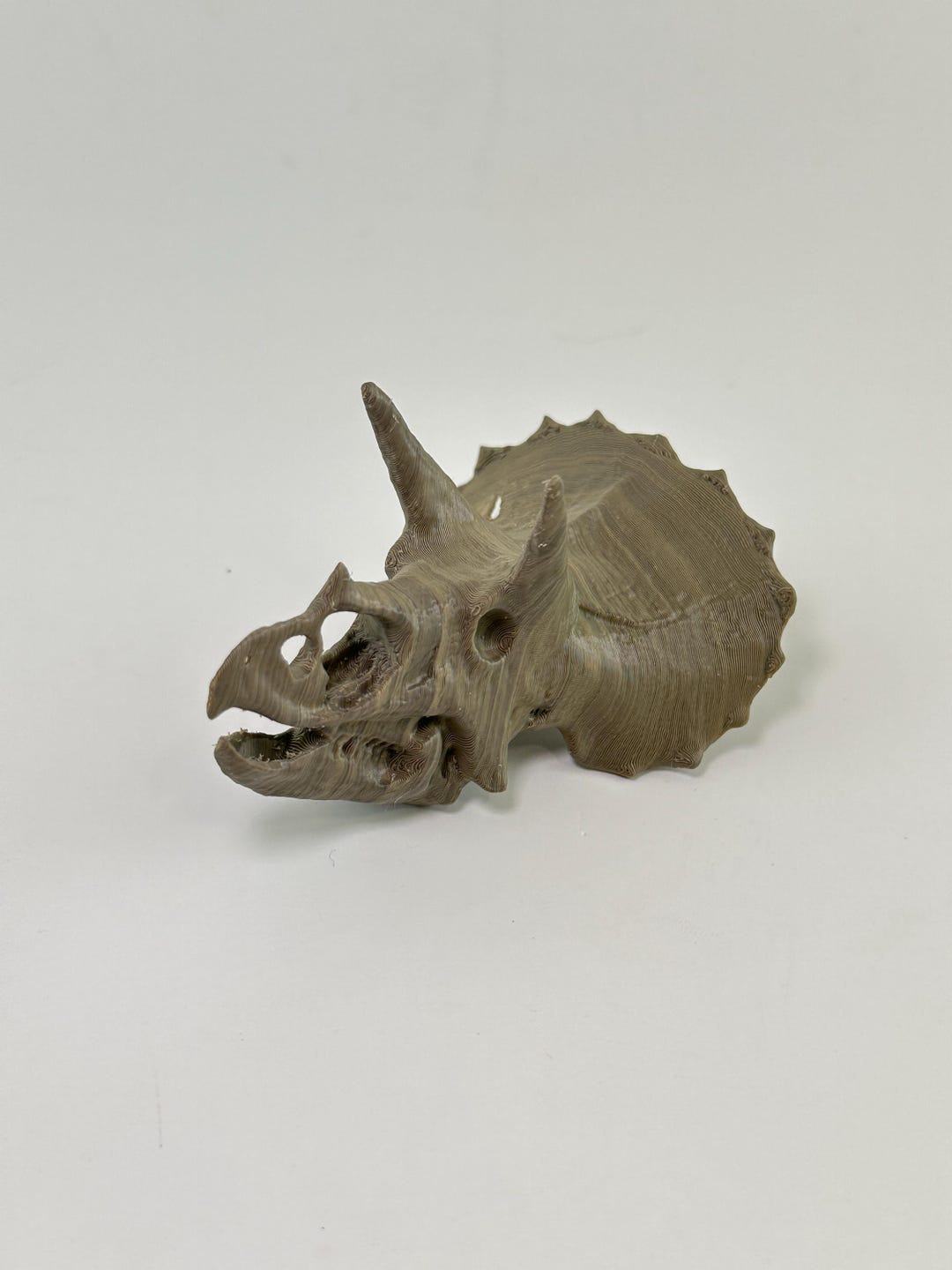 3d-printed Triceratops Skull | Realistic Fossil Replica for Dinosaur ...
